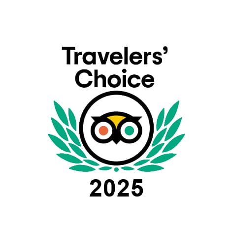 Mongolian Events and Festivals 2026 | Nur Altai Tour Blog